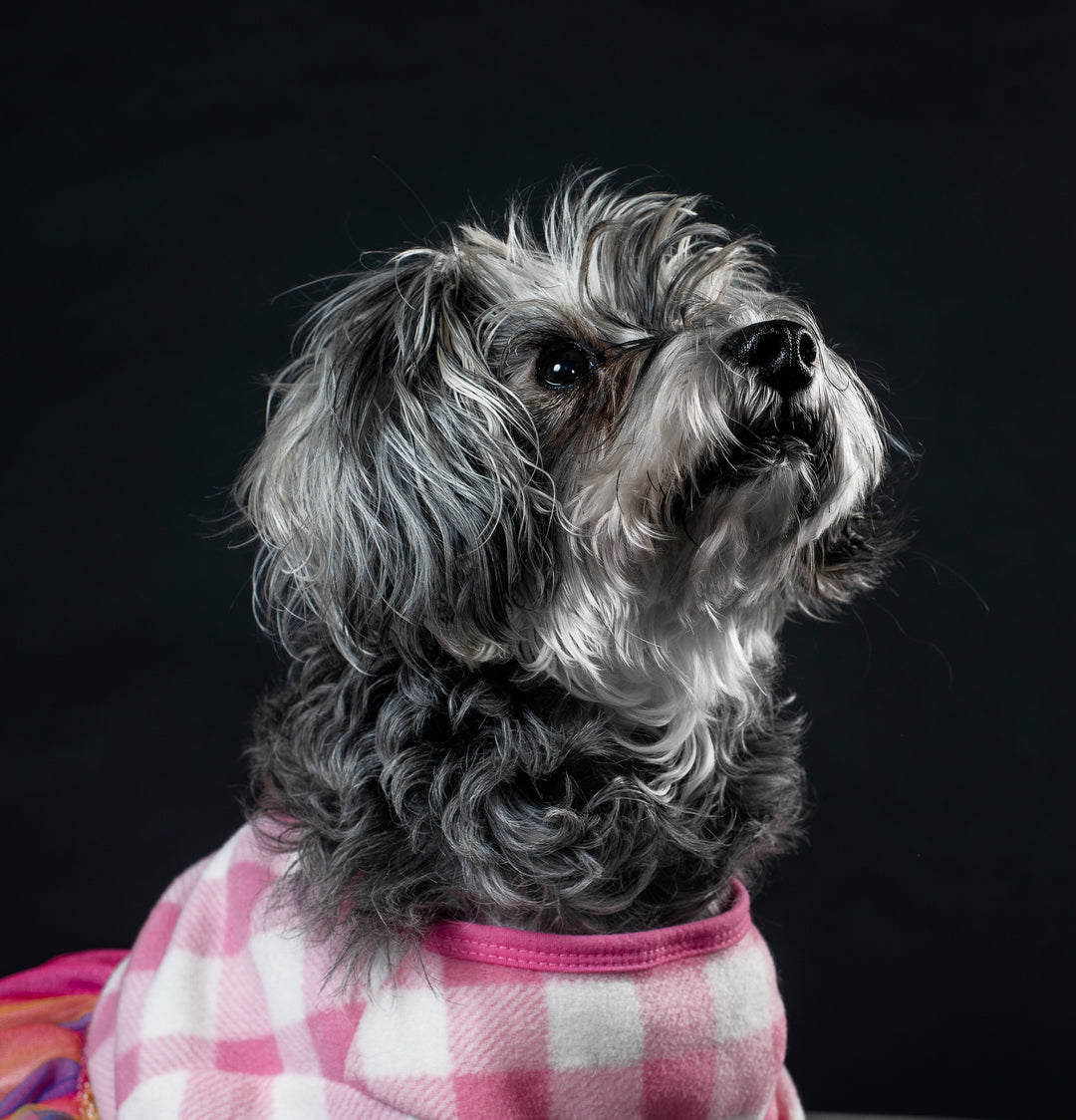 Fur Baby Apparel – Fur Baby Mommas