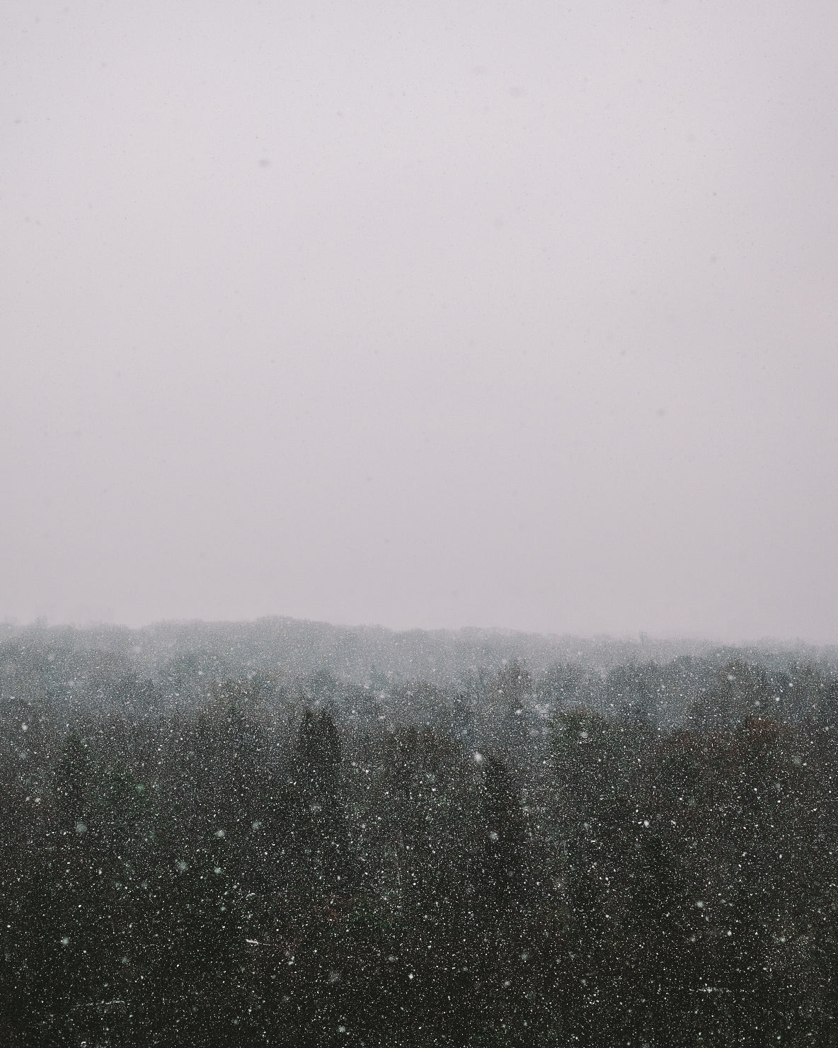 Snow Falling Iphone Wallpaper