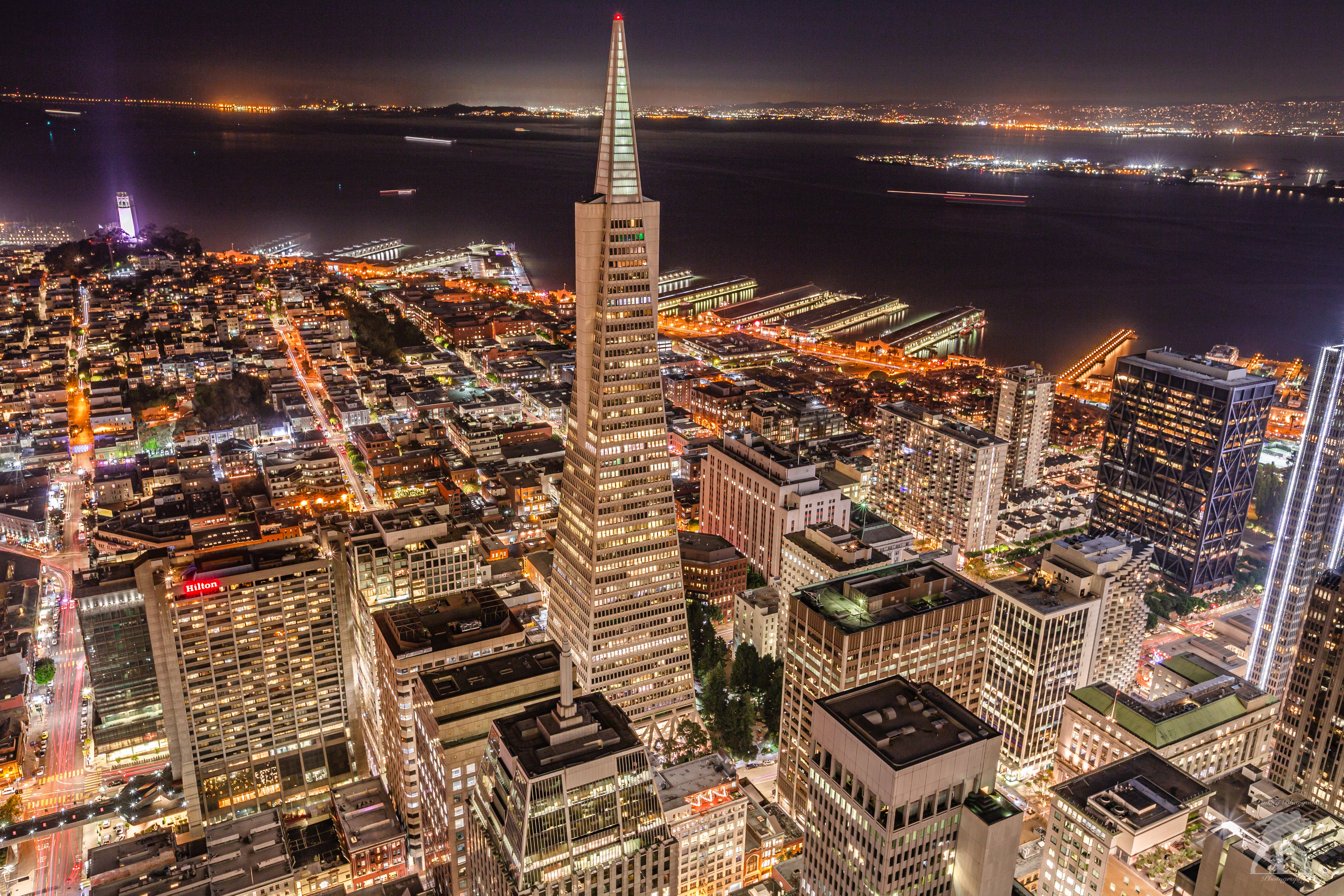 Transamerica Pyramid Logo